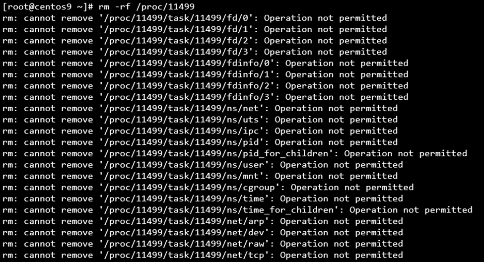 Linux `/proc` filesystem manipulation: Techniques and defenses | Group-IB