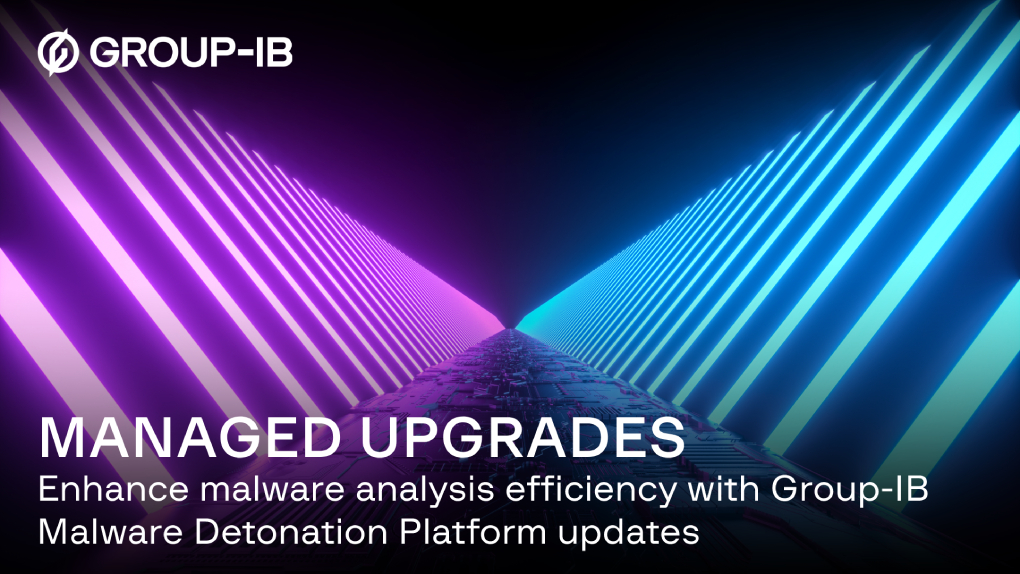 Group-IB Malware Detonation Platform updates | Group-IB Blog